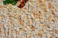 China Golden Yellow Marble Mosaic 305x305mm Natural Stone Wall Tile for Interior Decor for sale