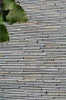 China Oyster Quartzite Mosaic 305x305mm Natural Stone Wall Tile for Interior Decor for sale