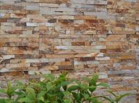 China Golden Yellow Slate Ledgestone Culture Stone 600x150mm Natural Split Wall Cladding for sale