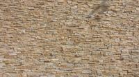 China Oyster Split Face Ledgestone Natural Quartzite Stone Cladding 600x150x15-25mm for sale