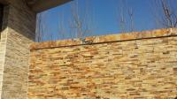 China Rust Yellow Slate Culture Stone 600x150mm Natural Split Face Ledger Panel Thin Stone Veneer for sale