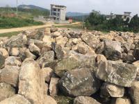 China Natural Garden Boulders Multicolor Granite Rocks Landscaping Stone 30-50cm Decorative Yard Stone for sale