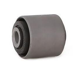 China 55045-06J00 Control Arm Bushing for Nissan Terrano II R20 1993-2006 Rubber Steel for sale