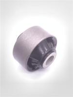 China 48655-BZ010 Control Arm Bushing for Toyota Avanza 2003-2009 F601 F602 OEM Quality for sale