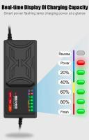 China 48V 45Ah Lead Acid Battery Charger 220V 110V Auto Voltage E-bike Charger 220W for sale