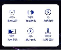 China 48V 60V 72V 32Ah 40Ah 50Ah Portable Lead Acid Battery Intelligent 20A Charger with SCP for sale