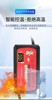 China Custom 36V 12Ah 24V 20Ah 48V 20Ah 96V 20Ah Lead Acid Dry Battery Charger for Electric Tricycle for sale