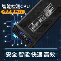 China Portable LiFePO4 Battery Charger 12V 20A 24V 20A 48V 30A 300W for Motorcycle Scooter with CE RoHS for sale