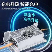China Customized 71.4V 60V 15A Lithium Battery Charger for Scooter E-forklifts Motorcycle 17s 3.7V Battery for sale