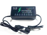 China Electric Vehicle Lead Acid Battery Charger 48V 60V 72V 20Ah 30Ah with OLP Protection for sale