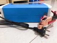 China Intelligent 12V 24V 10A Lead Acid Battery Charger with ABS Shell 110V 220V for sale