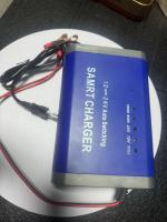China Automatic Portable Car Battery Charger 12V 10A 24V 5A with CE PSE RoHS Certified for E-bike Scooter for sale