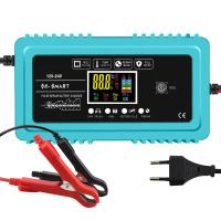 China Intelligent 12V 24V 12A Lead Acid Battery Charger with Pulse Repair for Motorcycle Car for sale