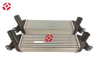 China Intercooler Assy Cooler 28190-4A481 Complete Intercooler 281904A481 Turbo air cooler for Hyundai for sale
