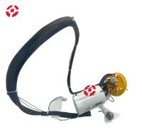 China Auto fuel pump Fuel pump module assembly OE 30761745 for VO LVO S60 Gasoline pump assembly for sale