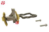 China Automotive camshaft chain Camshaft timing chain tensioner for Land Rover Auto Timing Chain and Tensioner OE 1316113 Timing Chain set for sale