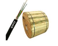 China Single Mode Multi Core Stranded Loose Tube FRP GYFTY Fiber Optic Cable 2-36 Cores for sale