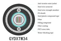 China 1-4 Core Indoor FTTH Flat Drop Cable G657A Fiber Model for Fast Data Transfer for sale