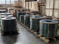 China SS304L Stainless Steel Strip 0.43mm x 28.9mm Hot Rolled Coil 1.4307 for Precision Tube for sale