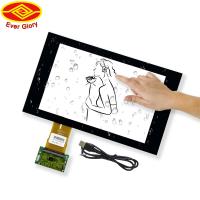 China 10.1 Inch COB Connector Multi Touch Screen With Finger Touch Input Method for sale