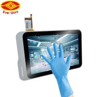 China 10.1 Inch Touch Screen Display Panel Professional With High Brightness for sale