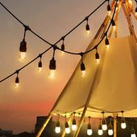 China Shatterproof & Waterproof , Creative Shaped String Lights for Outdoor Holiday Decorations for sale