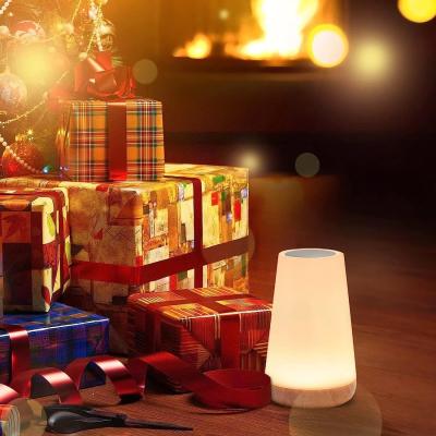 China Dimmable LED Bedside Lamp | 13Color RGB Ambient Lighting | USB Charging Portable Night Light for sale