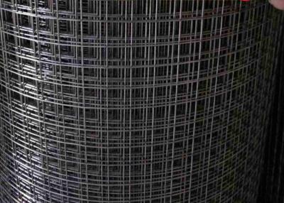 China Ss304 Welded Metal Mesh 1/2