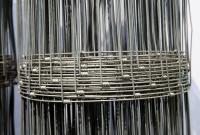 China Corrosion Resistance Hot Dipped Galvanized Hinged Knot Fence Used In Field Fence for sale