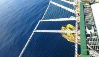 China Chain Link Wire Mesh With Superior Corrosion And Rust Resistance helideck mesh for sale