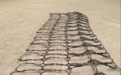 China High Carbon Steel Anti Tank Wire Mesh Defend Against All Kinds Of Anti-Tank Weapons for sale