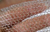 China Plain Weave Stainless Steel Filter Wire Mesh Customized For Gas / Liquid Filtering for sale