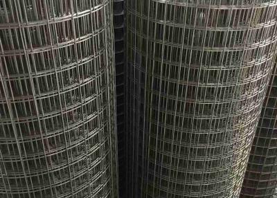 China Stainless Steel 304 And 316 SS Welded Wire Mesh 1 Mesh 2 Mesh for sale
