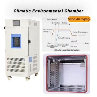 China Liyi Customized Environmental Chambers Temperature and Humidity Control Cabinet Conditioning Chamber for sale
