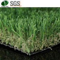 China Decorative Plastic Lawn Grass Sbr or Pu Backing Glue 18900 Stitches Every Sqm for sale