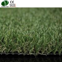 China 4 Colors Pet Friendly Fake Grass 30mm Pile Height 10000 Ddtex Or Customized for sale
