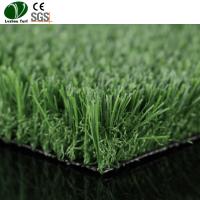 China Anti Ultraviolet Plastic Lawn Grass Good Memory Performance Long Service Life for sale