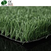 China Plastic Artificial Grass Carpet / Court Natural Faux Grass Outdoor Carpet For Soccer for sale