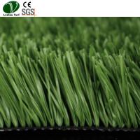 China Synthetic Artificial Grass For Football Ground Garden PE Monofilament Material for sale