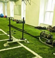China Natural Fitness Green Plastic Turf Grass Mat For Gym Flooring Long Lasting for sale