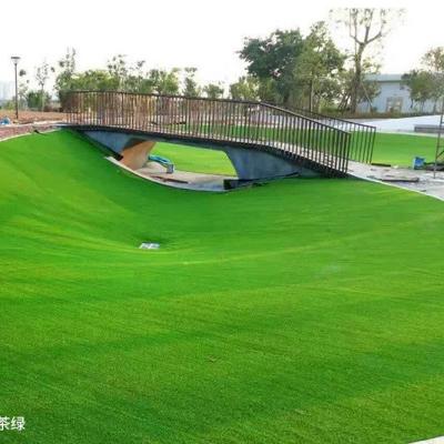 China Non Filling Synthetic Playground Turf Easy Paved Suiitable For Sports Landscaping for sale