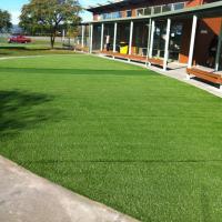 China Artificial Plastic Grass High Simulation Water Saving No Need Maintenance for sale