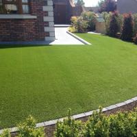 China 30mm Artificial Grass Suitable For Dogs / Turf Grass Backyard Front Yard Use for sale