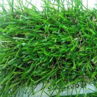 China Environmental Plastic Synthetic Grass Rug Garden Decoration Long Life Span for sale