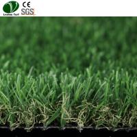 China Brush Machine Forever Green Grass Actual Looking 9000Ddtex Or Customizable for sale