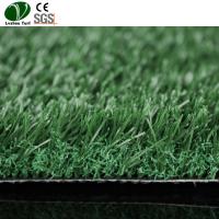 China Artificial Sports Synthetic Grass Green International Events Leisure Support for sale