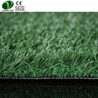 China Cricket Pitch PP PE Artificial Backyard Putting Green 35mm Pile Height for sale