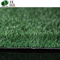 China Fake Grass Rug Indoor Classical Cricket Pitch Artificial 21000 Density for sale