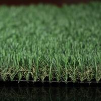 China Anti Ultraviolet Sports Synthetic Grass / Artificial Golf Putting Green for sale