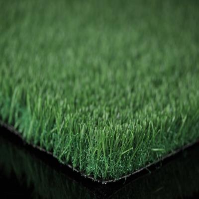 China Synthetic Green Roof Grass / Hockey Sports Artificial Grass 30mm Pile Height for sale